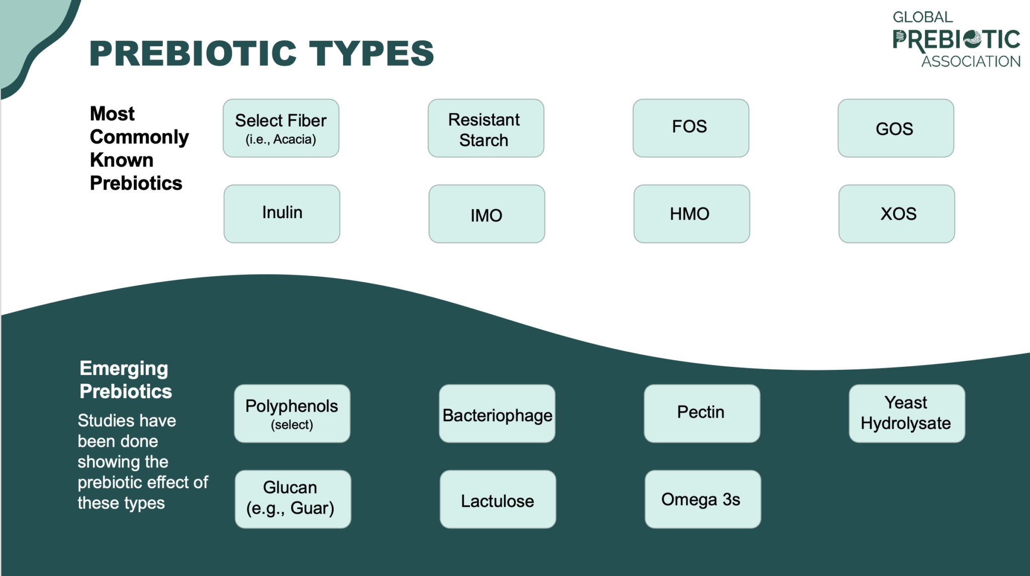 Prebiotic Resources – Global Prebiotic Association