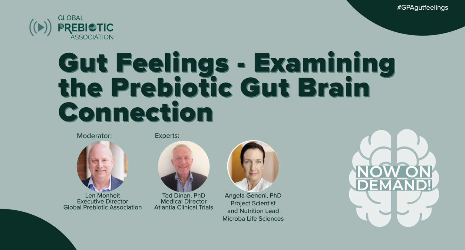 Global Prebiotic Association – Increasing Public Awareness of Prebiotics