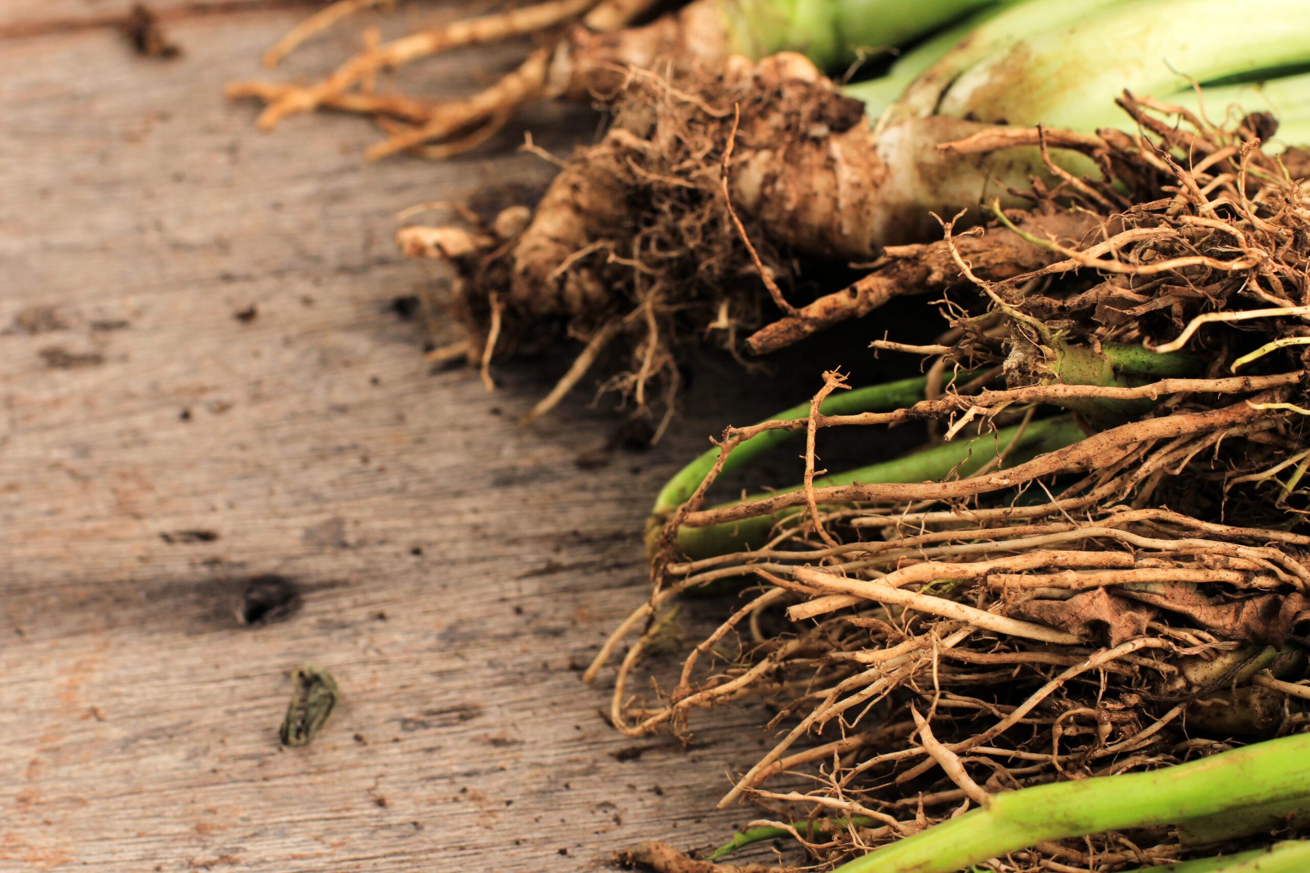 Systematic Review of Randomized Clinical Trials to Examine Impact of ...