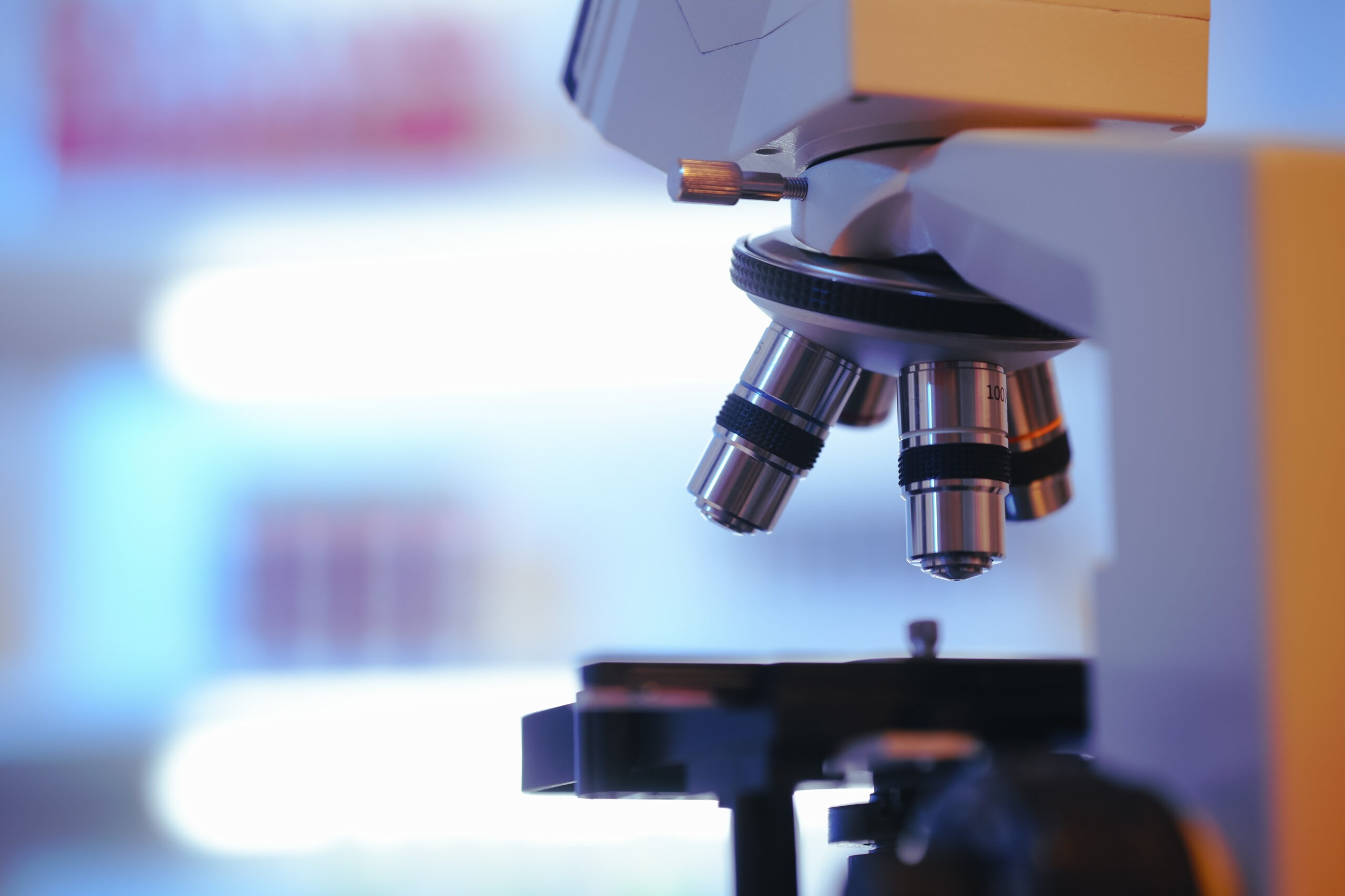 Graminan-type fructans mitigate the noxious effects in gut cells ...