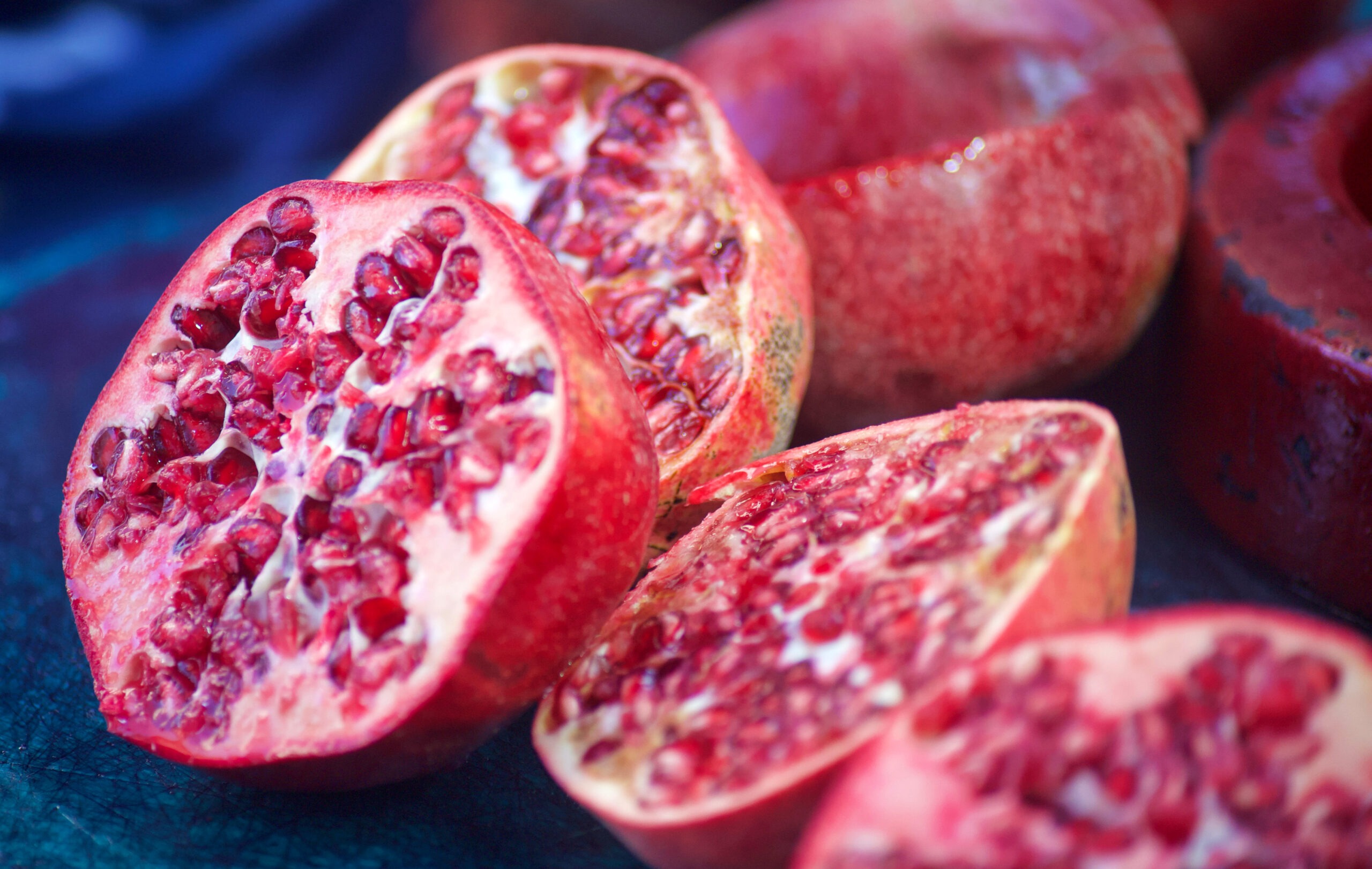 Evaluation of the prebiotic potential of polyphenol-rich plant extracts ...
